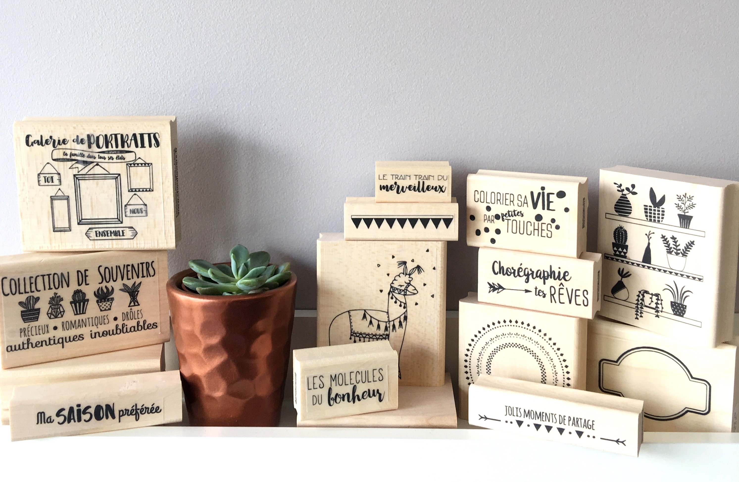 Zoom sur Ma Saison Préférée